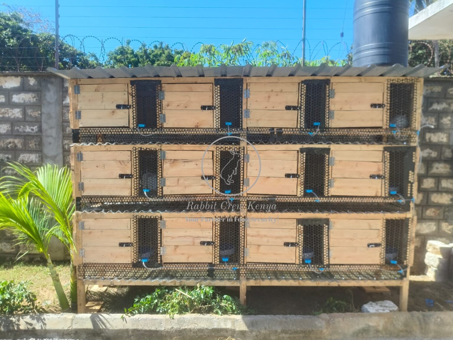 Rabbit Crew Kenya – Your Partner In Food Security